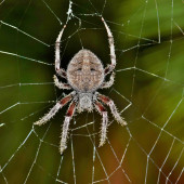 Office of the Privacy Commissioner | Shaming and blaming